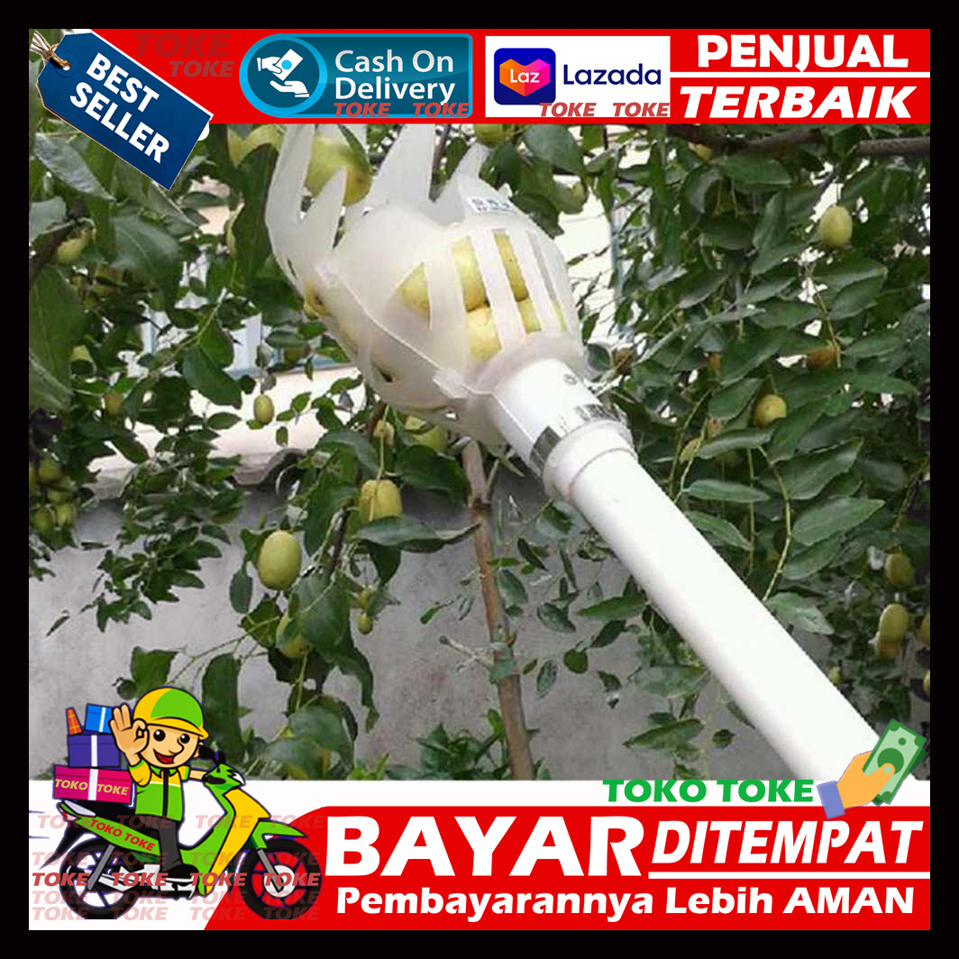 Harga Picker Terbaru Desember 2023 |BigGo Indonesia