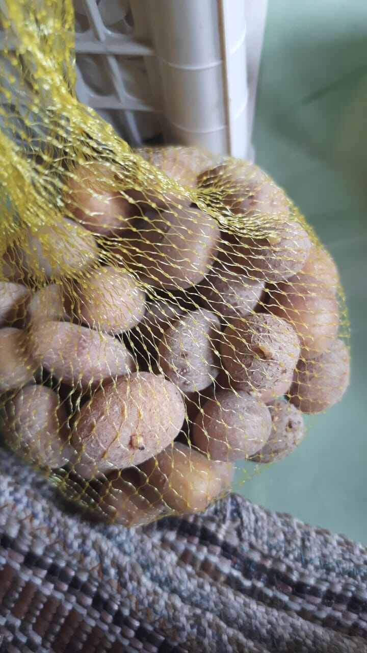 Harga Granola Terbaru Oktober 2023 |BigGo Indonesia