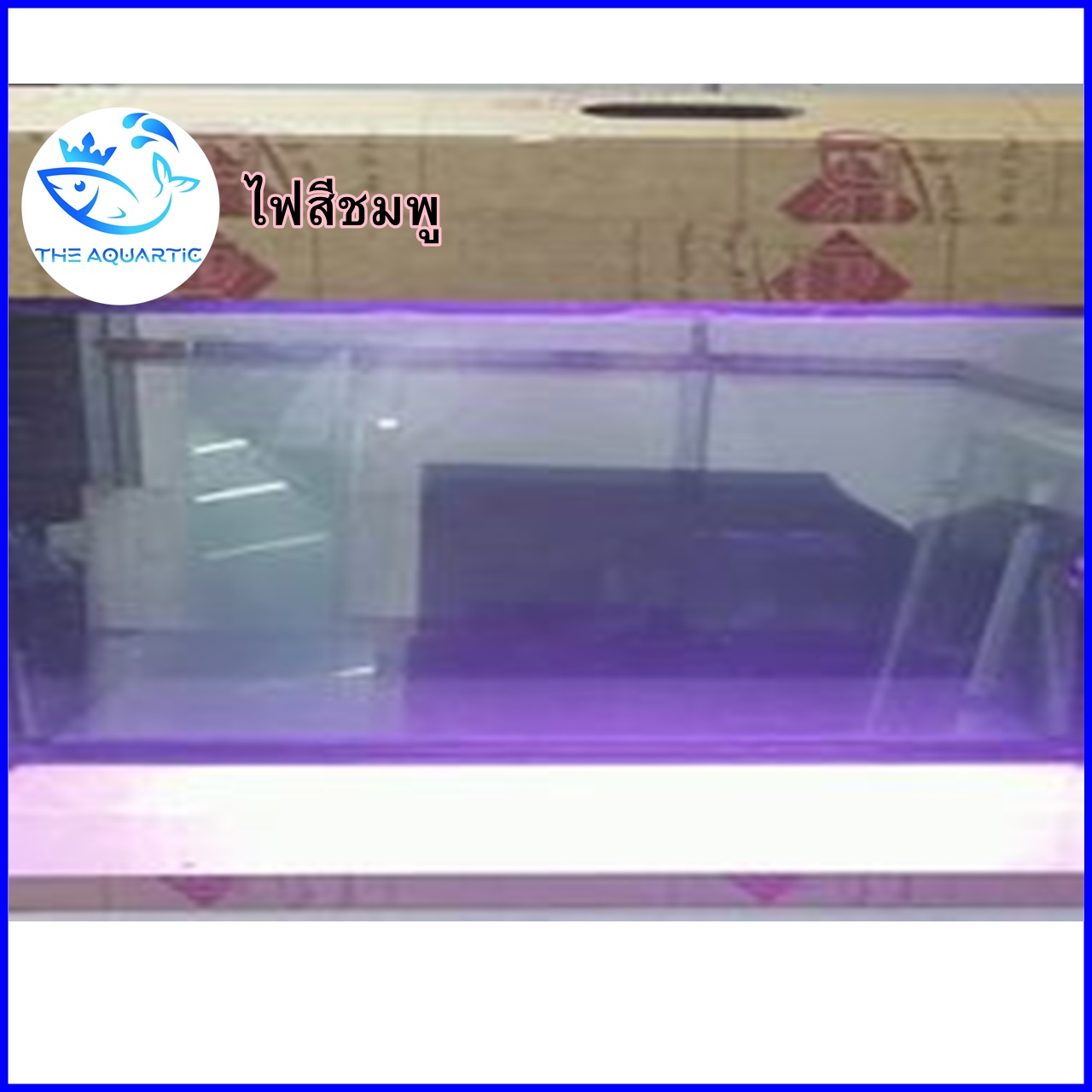 หลอดสีดำ ถูกที่สุด พร้อมโปรโมชั่น ธ.ค. 2023|BigGoเช็คราคาง่ายๆ