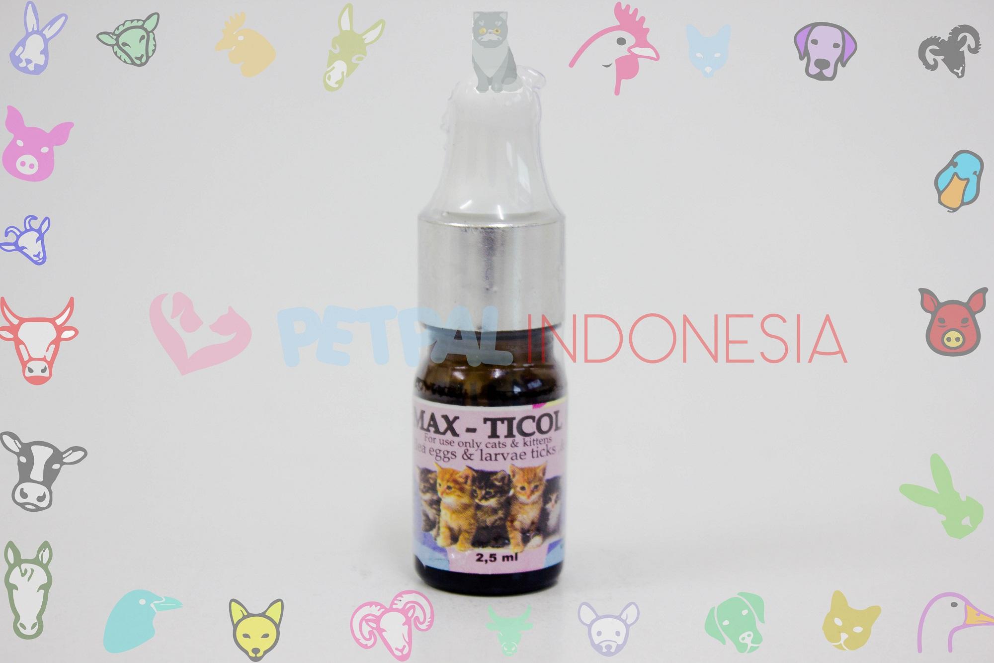 Harga Maxindo Terbaru Oktober 2023 |BigGo Indonesia