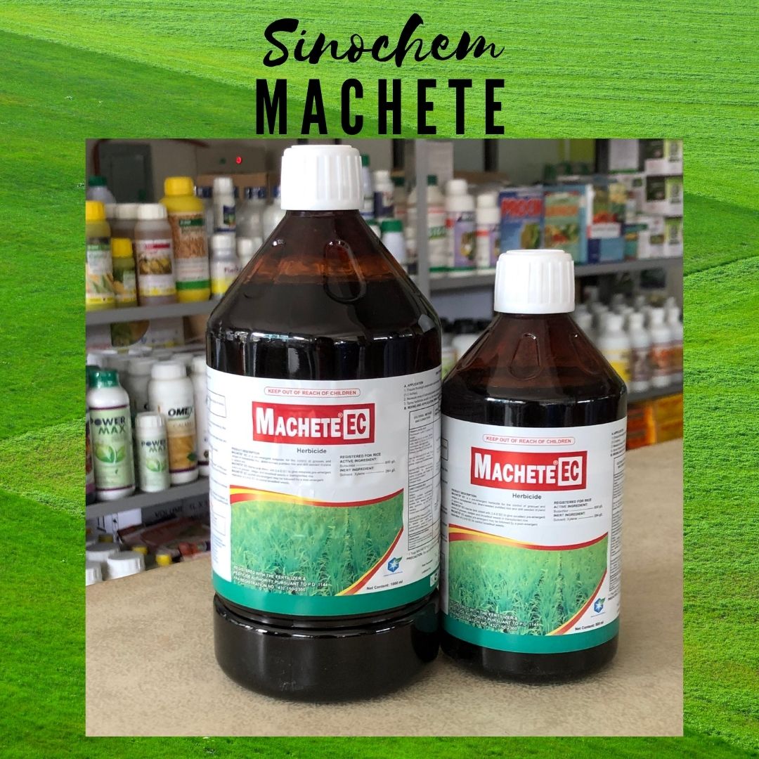 Machete Price & Voucher Mar 2024|BigGo Philippines