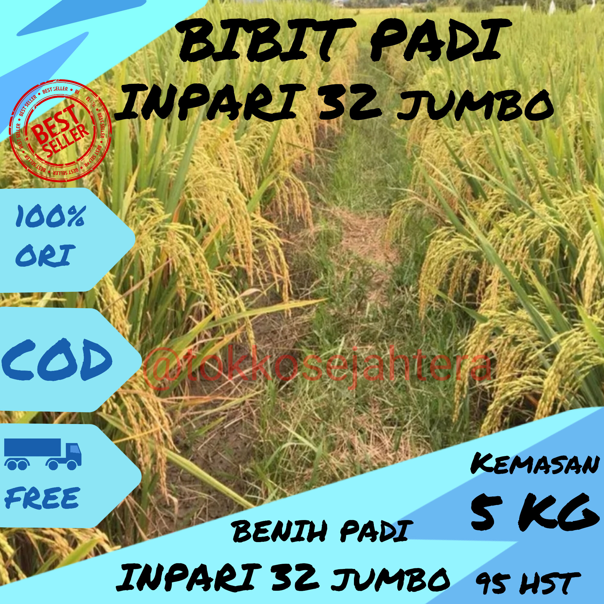 Harga Sertifikasi Terbaru Juni 2024 |BigGo Indonesia