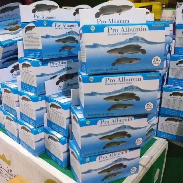 Harga Albumin Terbaru Maret 2024 |BigGo Indonesia