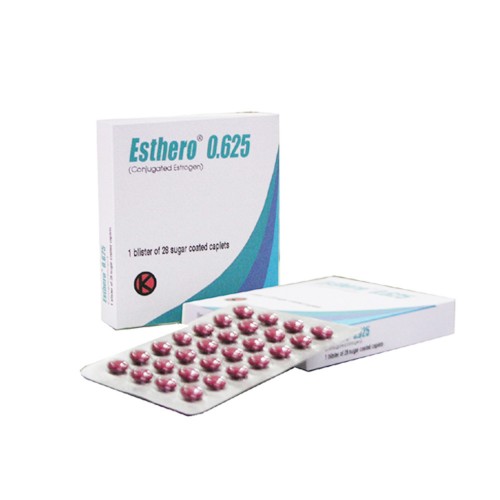 Harga Esthero Terbaru November 2023 |BigGo Indonesia