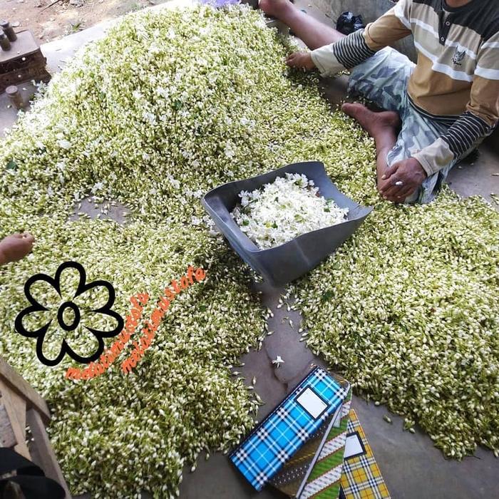 Harga Nyekar Terbaru November 2023 |BigGo Indonesia