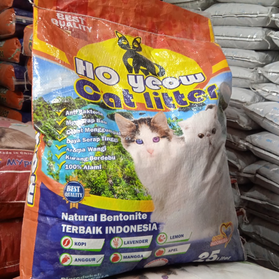 Harga Ho Terbaru Juli 2024 |BigGo Indonesia