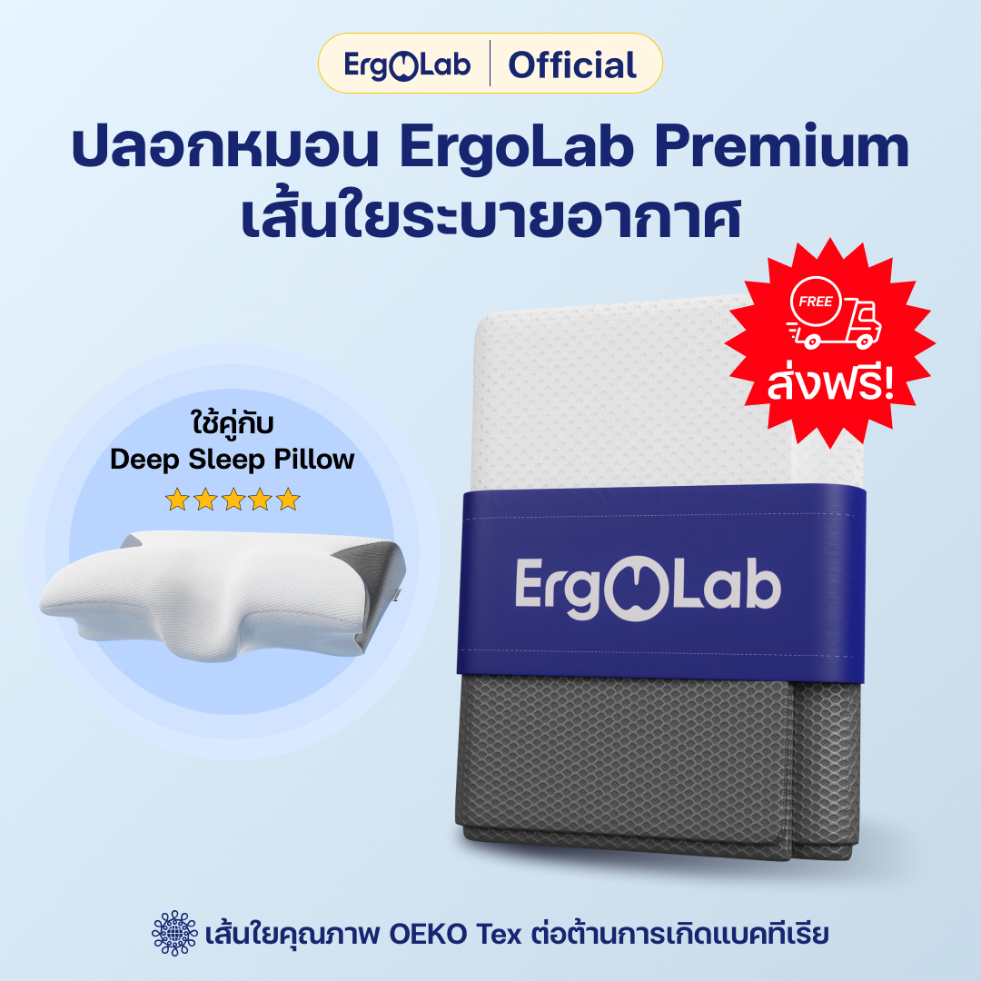 Ergolab ถูกที่สุด พร้อมโปรโมชั่น พ.ค. 2024|BigGoเช็คราคาง่ายๆ