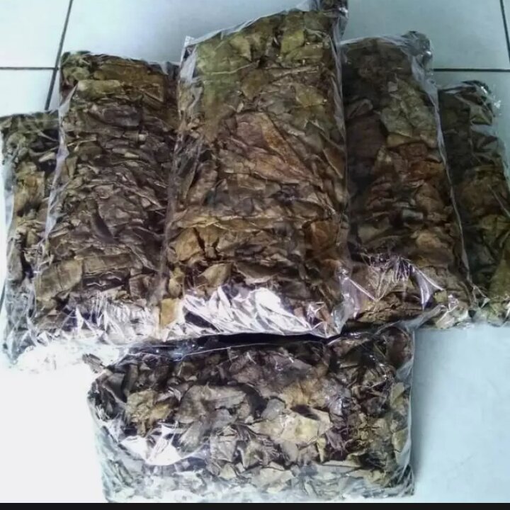 Harga Katapang Terbaru November 2023 |BigGo Indonesia