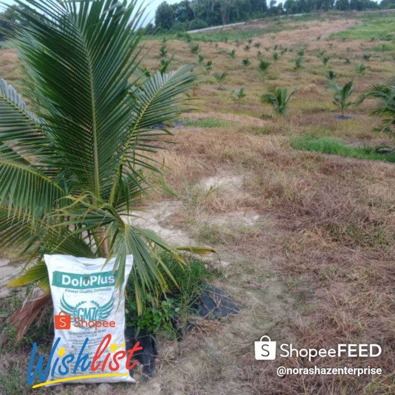 Doloplus Price & Promotion-Nov 2023|BigGo Malaysia