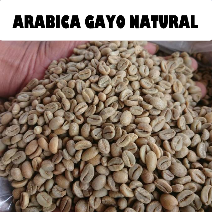 Harga Gayo Terbaru Agustus 2023 |BigGo Indonesia