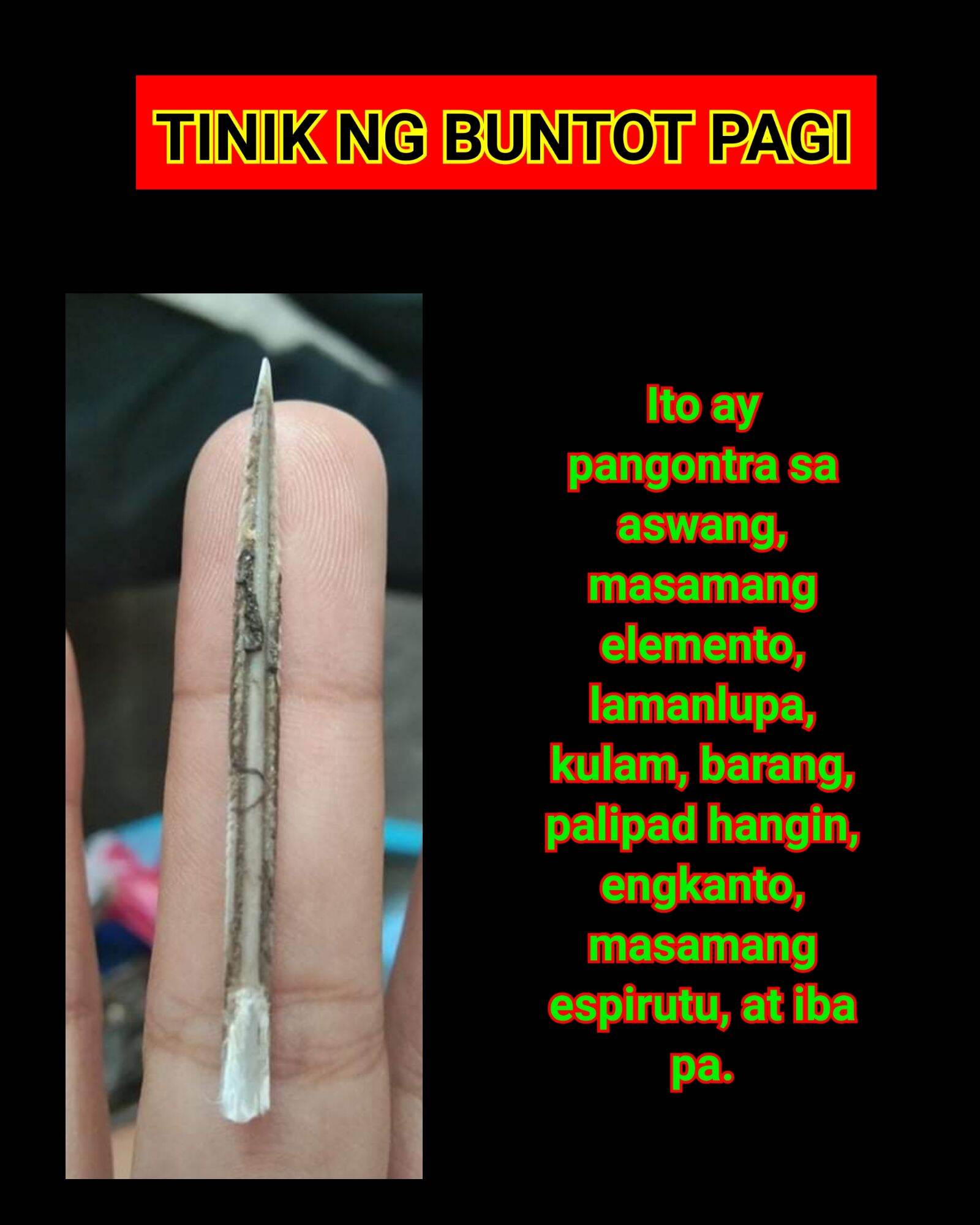 Buntot Price & Voucher Apr 2023|BigGo Philippines