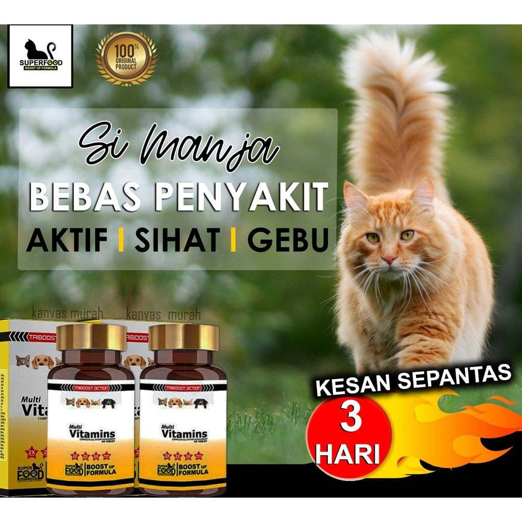 Biovet Price & Promotion-Apr 2024|BigGo Malaysia