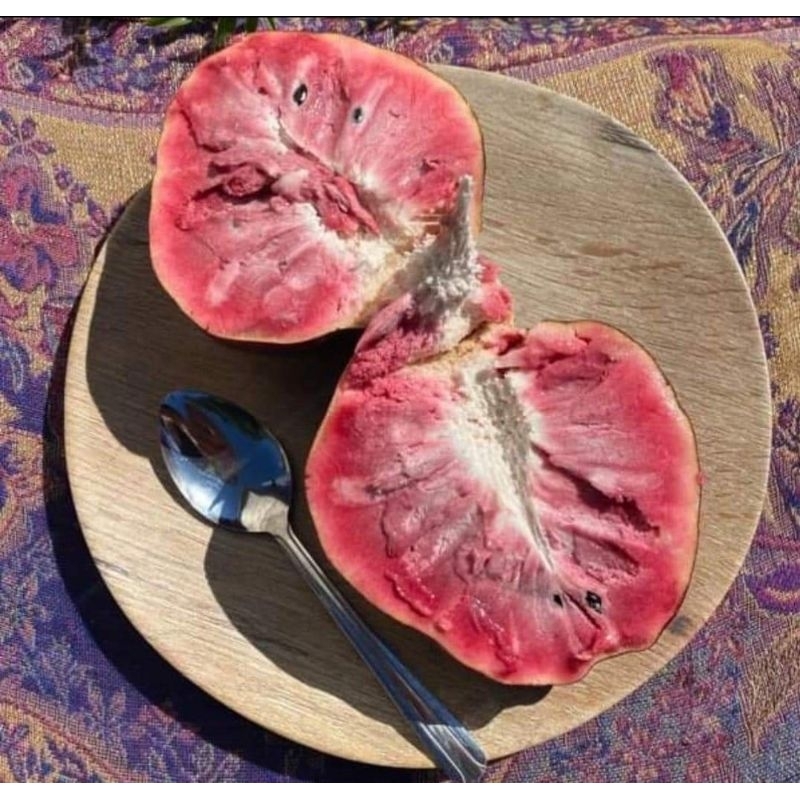 Anona Price & Promotion-Jan 2024|BigGo Malaysia