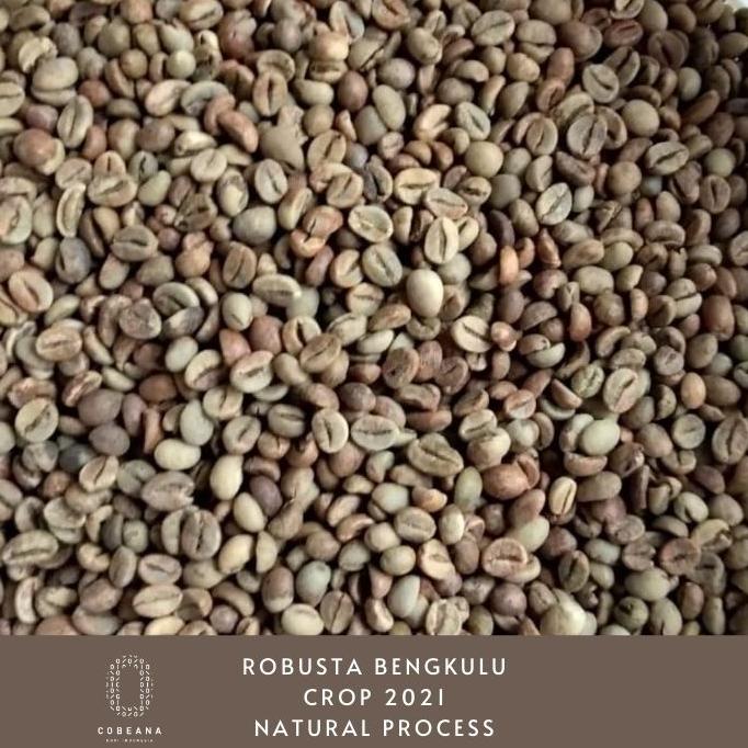 Harga Robusta Terbaru Juni 2023 |BigGo Indonesia
