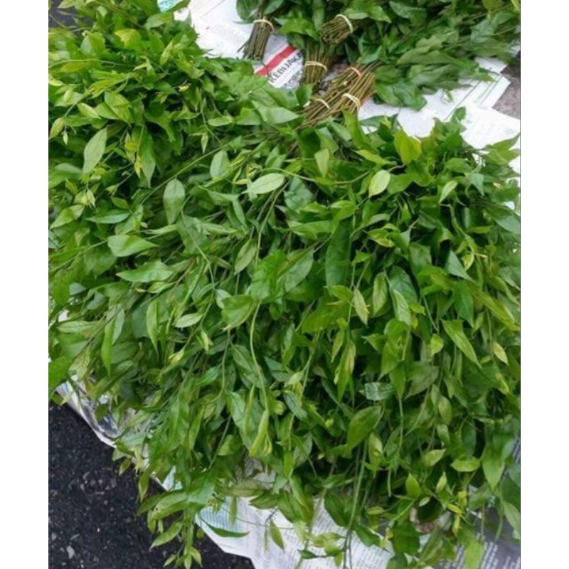 Ceperai Price & Promotion-Dec 2023|BigGo Malaysia