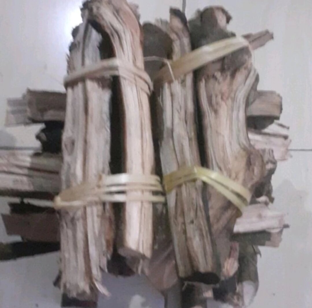 Harga Api Unggun Camping. Terbaru Juni 2024 |BigGo Indonesia