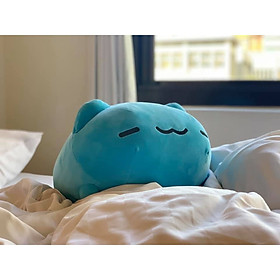 Capoo giá rẻ Tháng 3,2024|BigGo Việt Nam