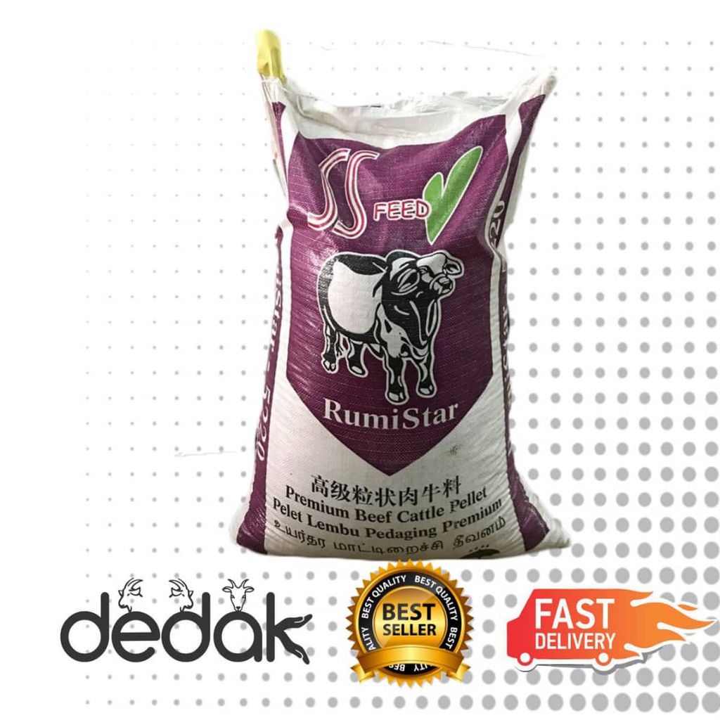 Rumistar Price & Promotion-Sep 2023|BigGo Malaysia