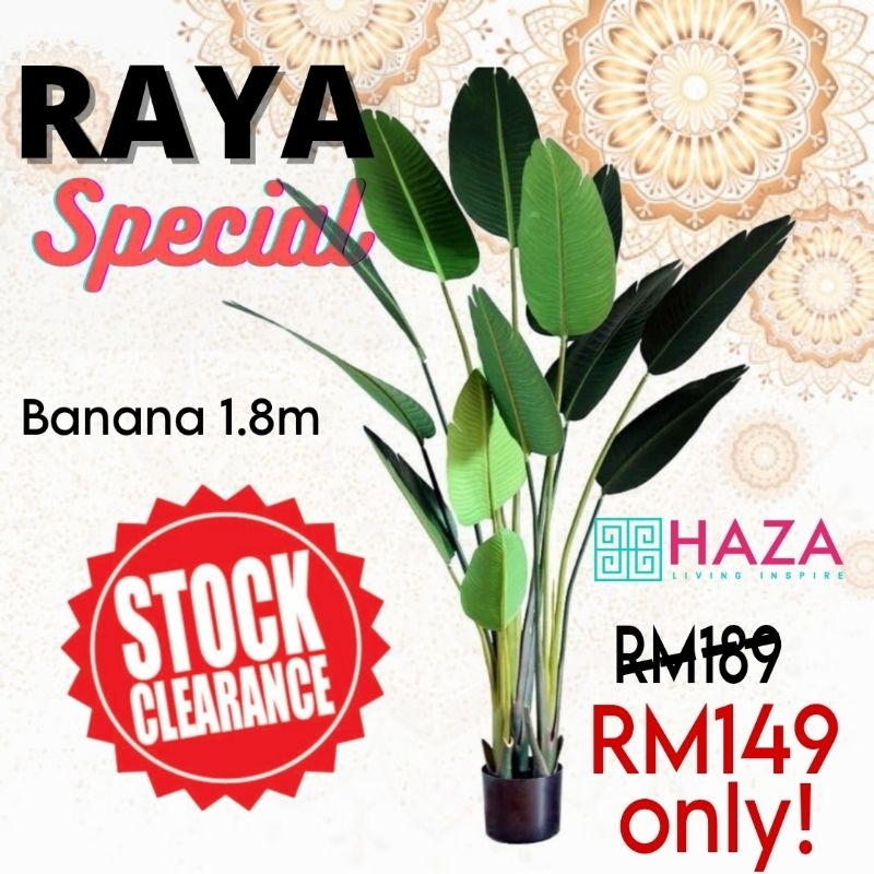 Yucca Price & Promotion-Feb 2024|BigGo Malaysia