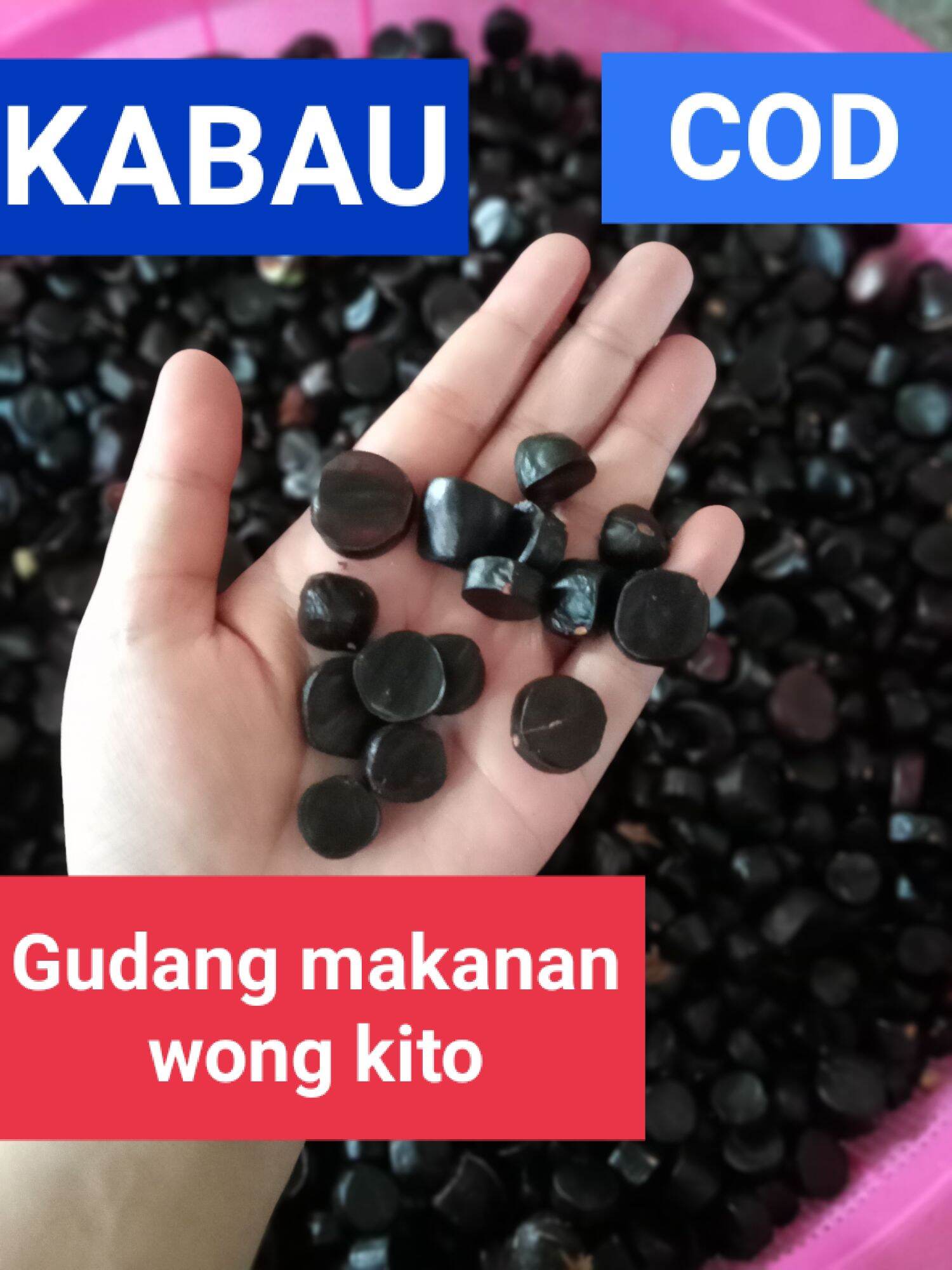 Harga Jolang Terbaru Desember 2023 |BigGo Indonesia