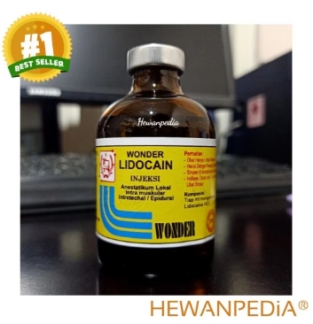 Harga Lidokain Terbaru Februari 2024 |BigGo Indonesia