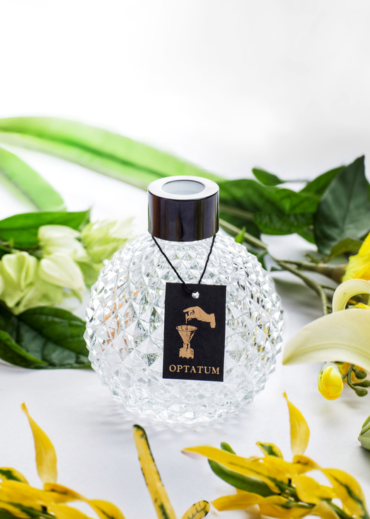 Optatum擴香的價格推薦 - 2024年8月| 比價比個夠BigGo