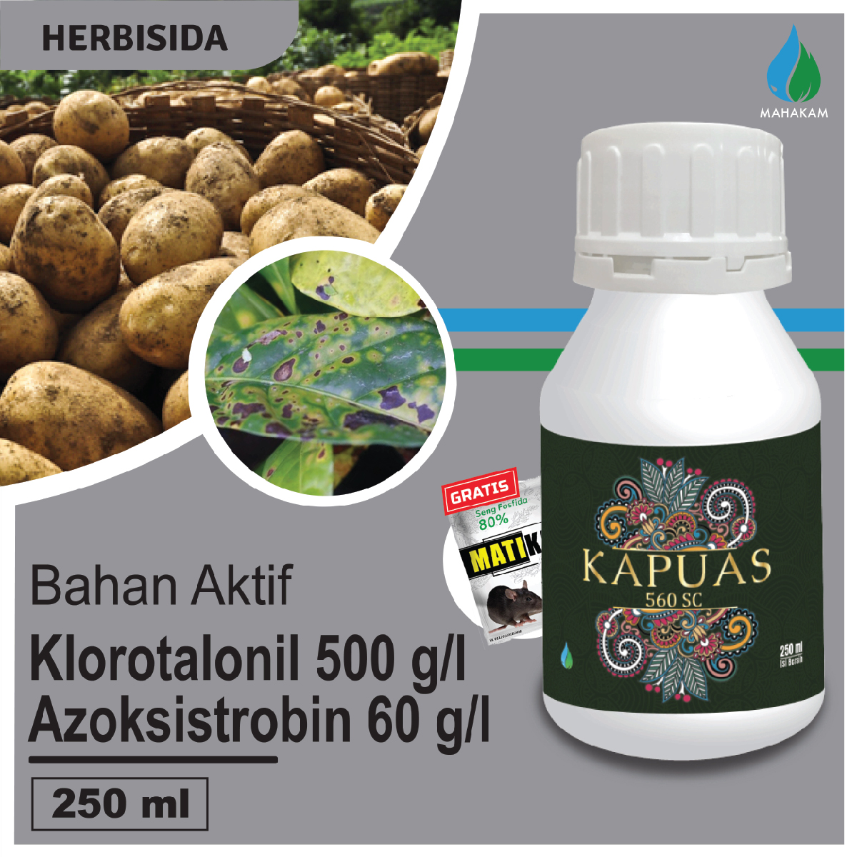 Harga Kapuas Terbaru Oktober 2023 |BigGo Indonesia