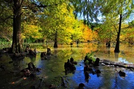 海洋世界 @oceanworld648 的BigGo個人專頁